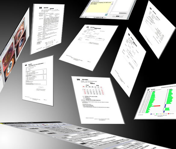 FORMAS PARA UNA RECOLECCION DE DATOS: TIPOS DE INFORMES