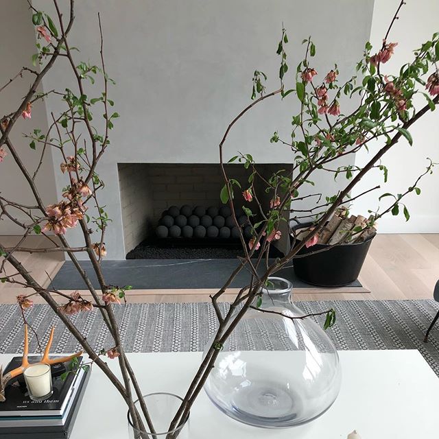 CASA TRÈS CHIC: CONFERINDO INSTAGRAMS