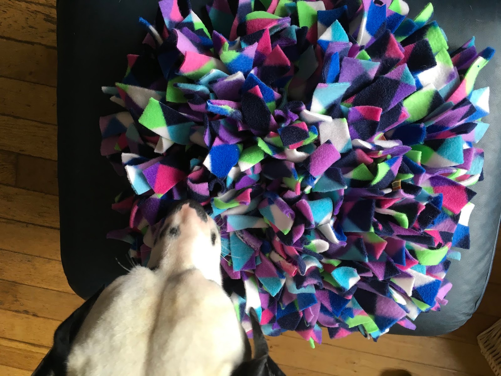 How to use a Snuffle Mat