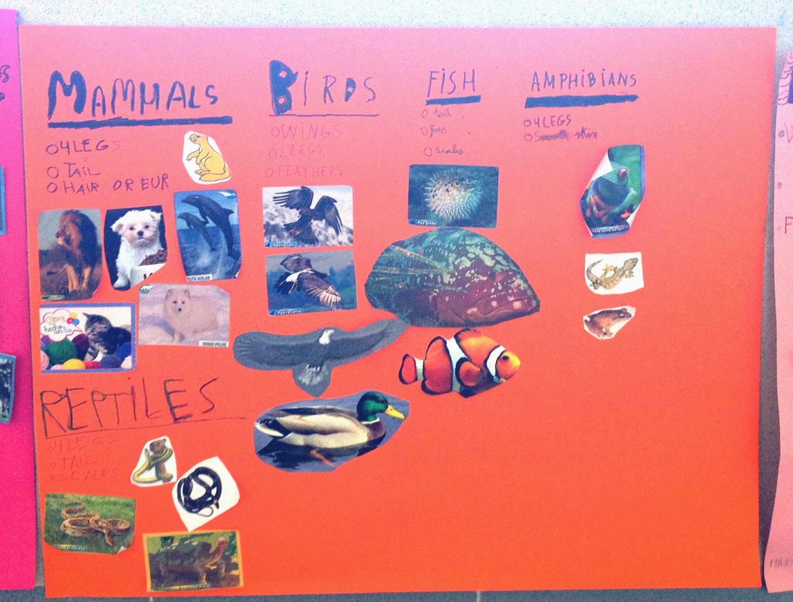 SCIENCE IN THE SCHOOL: Displays