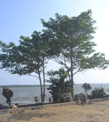 Tampara Lake Odisha #AToZChallenge | The Explorer of Miracles