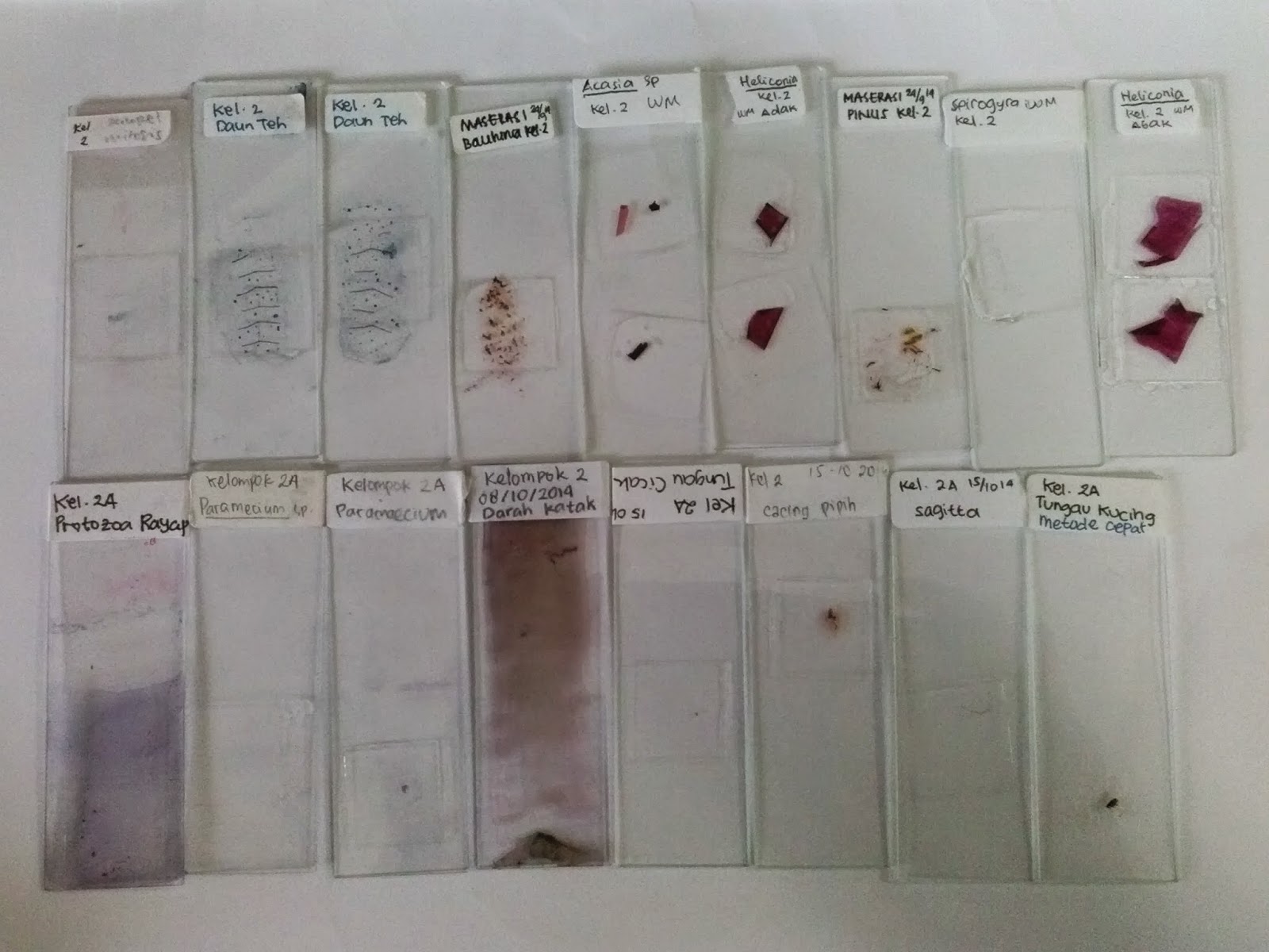 everything about me ^_^: FOTOGRAFI MIKROTEKNIK