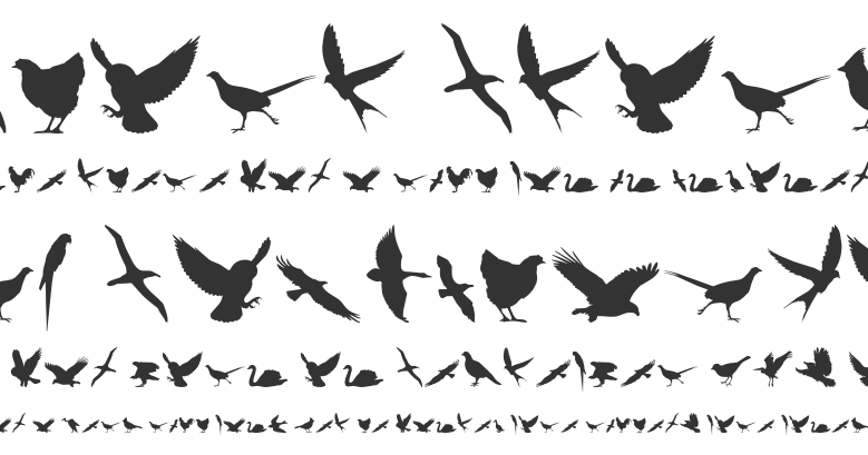 Deeply Trivial: Are We Birds or Opposites?