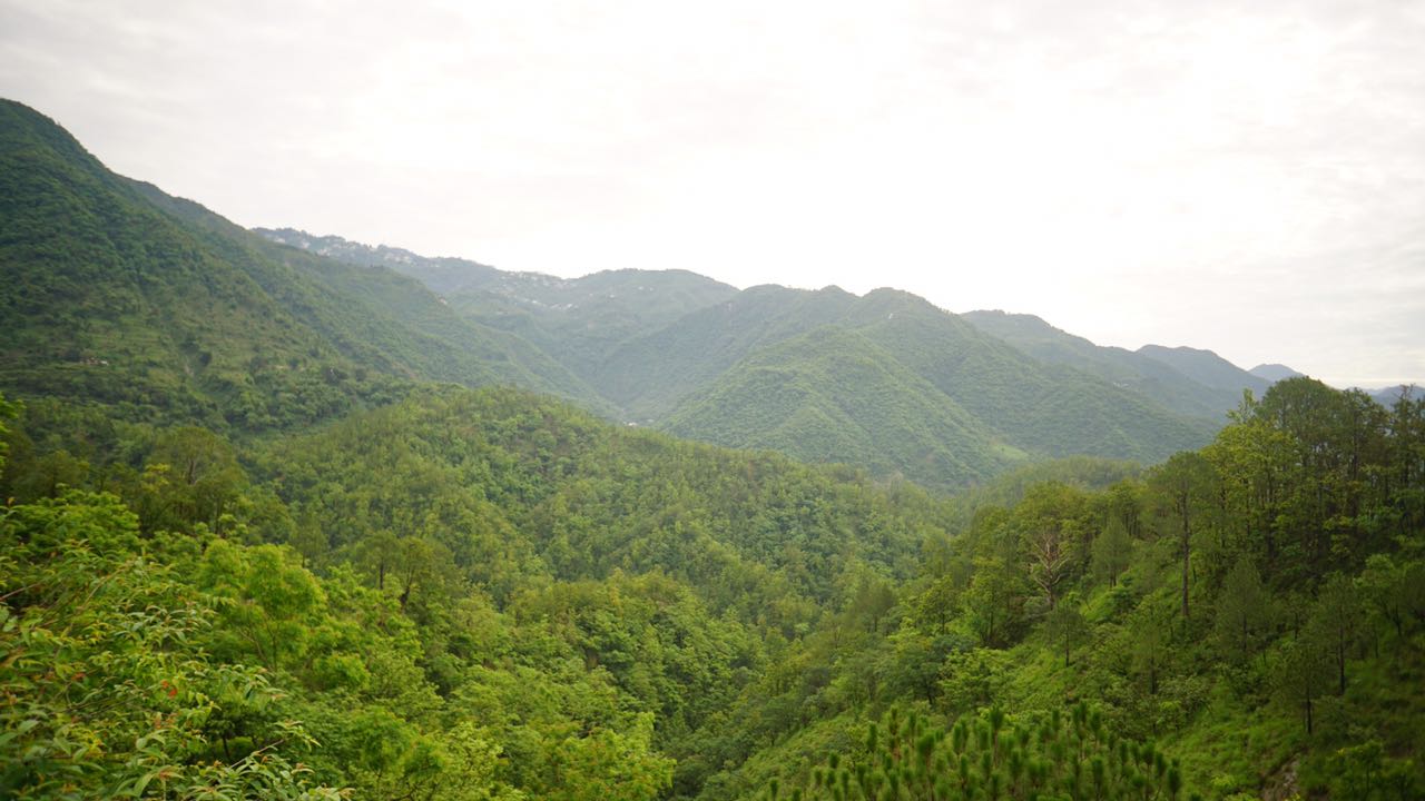 Kimadi : Hills in Doon