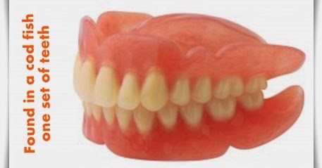 67 Not Out: The Coincidence Of The Teeth Found In A Cod's Stomach