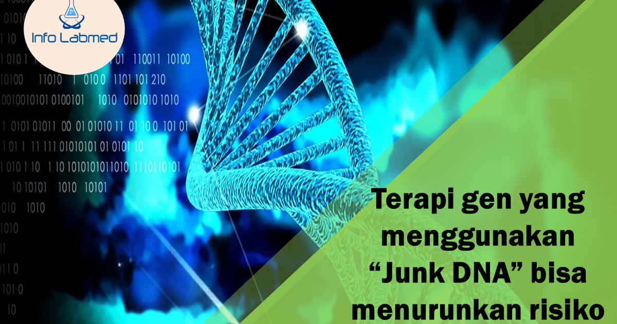 Terapi gen yang menggunakan 'Junk DNA' bisa menurunkan risiko penyakit ...