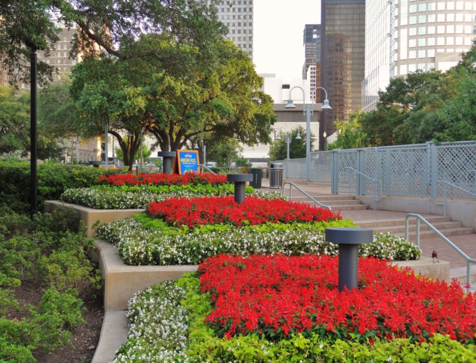 Houston in Pics: Downtown Houston Greens (grassy spots and landscaped a
