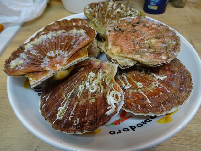 Cuisine en folie: Saint Jacques en coque feuilletée aux jeunes poireaux ...