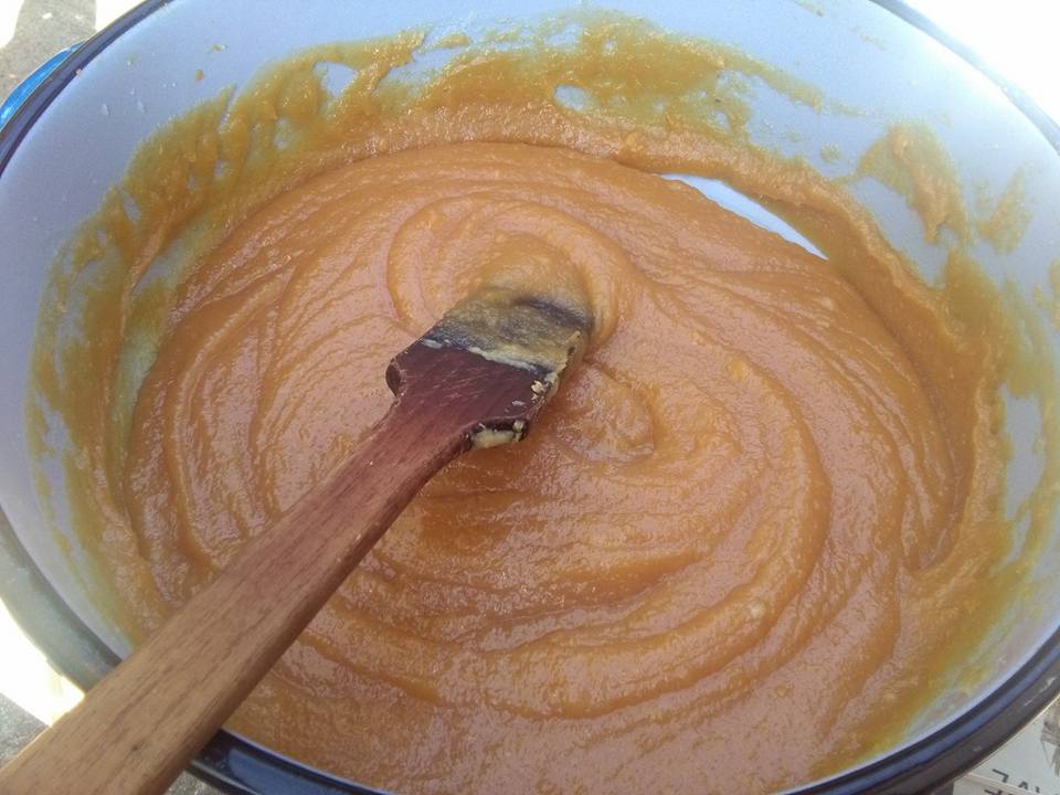 ZAMESI, UMESI, ISPECI - Vesna V. Lalović: SIR OD DUNJA