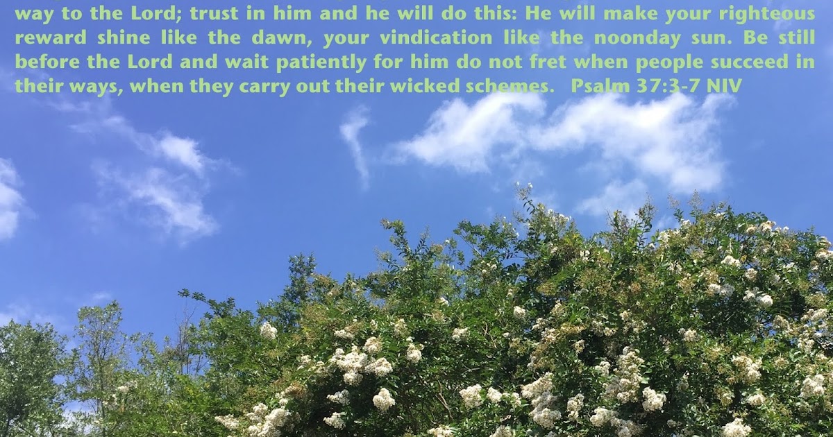 My Strength: Psalm 37:3-7 - "Oceans (Where Feet May Fail)"