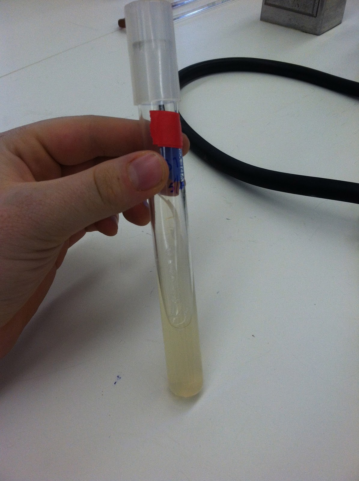 Medical Micro Biology