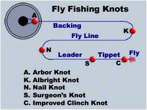 Backing To Fly Line Knot