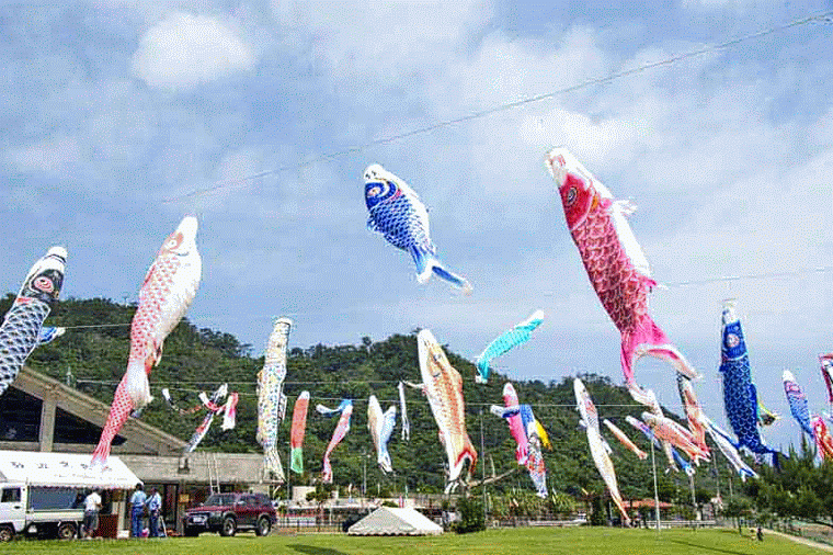 Ryukyu Life: 6 GIF Animations of Flying Fish (Koinobori) in Oku Okinawa