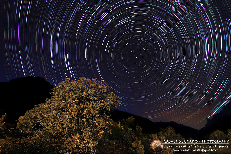 CRÒNIQUES NATURALISTES: JUGANT AMB ELS ESTELS - JUGANDO CON LAS ...