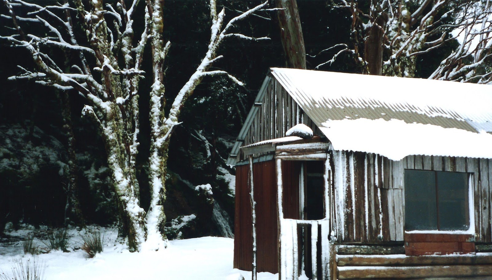 Goin' Feral One Day At A Time: Waldheim Chalet to Waterfall Valley Hut ...