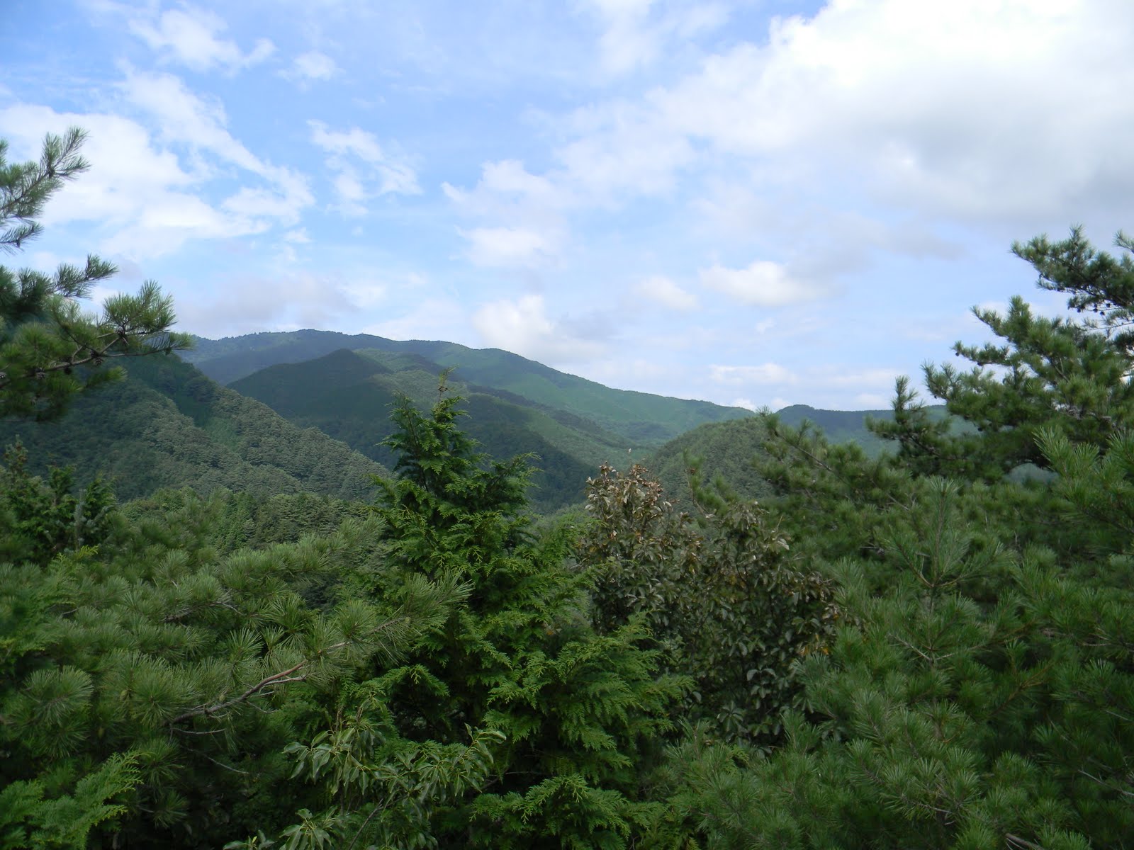 Konichiwa, Iwakuni!: Hiking Seven Falls