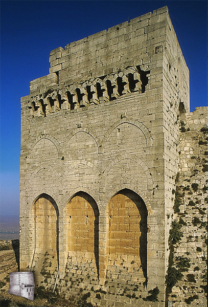 AMO DEL CASTILLO: MATACANES