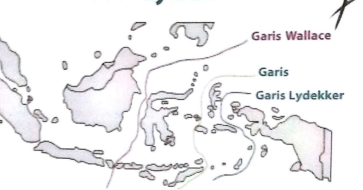 Garis Wallace, Webber, dan Lydekker.