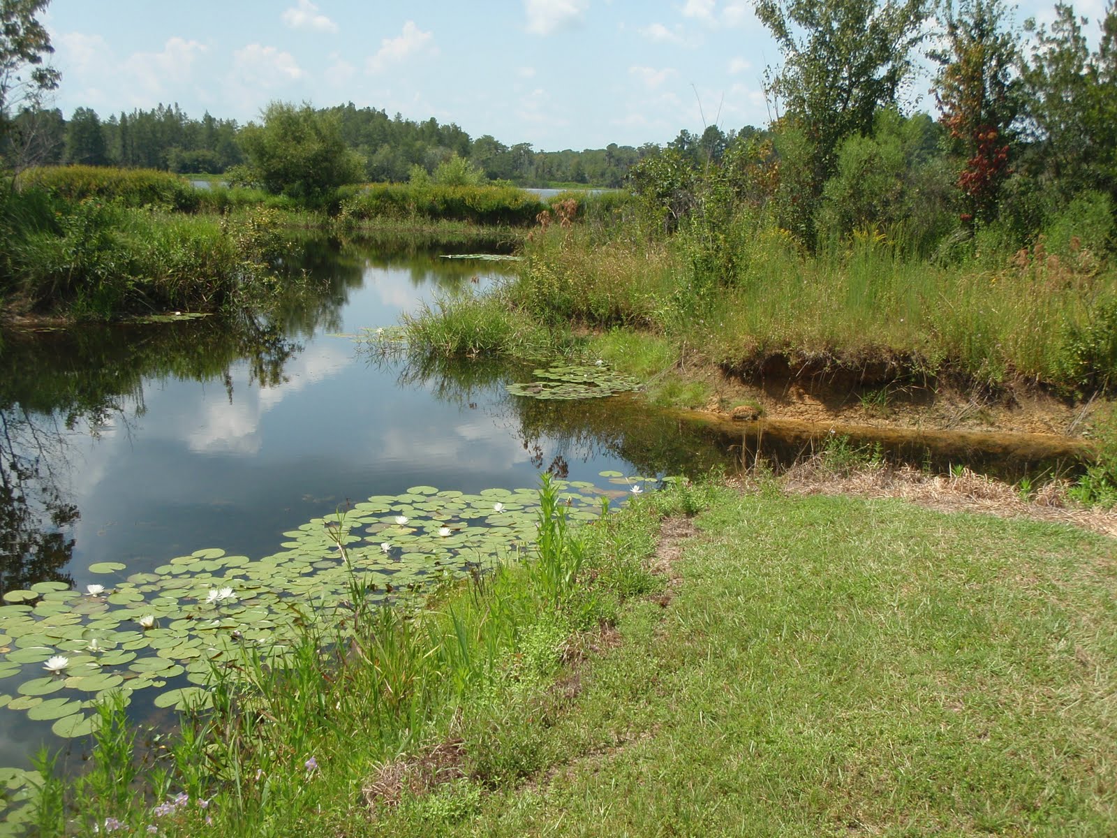 SOUTH GEORGIA KAYAK FISHING: Lake Nichols - Pavo, GA - Brooks County