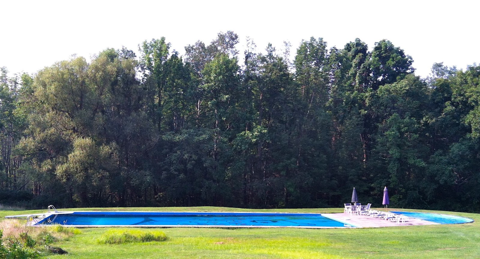 Vagabond's Daughter: Treasure Farm, Woodstock, NY.