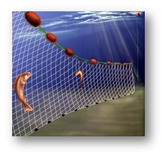 Cara Pemakaian Jaring Millenium