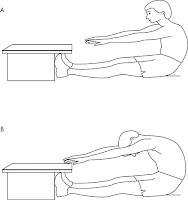 delectableData: The sit-and-reach test