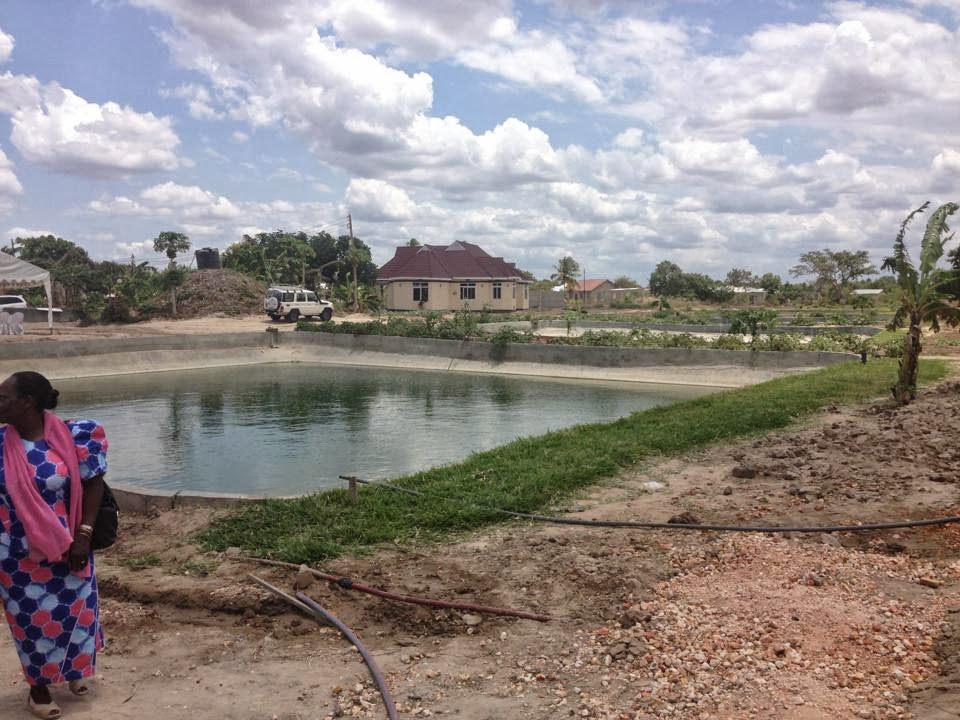 Banzi wa Moro: Hatujafanya vizuri katika Ufugaji wa samaki wa mabwawa