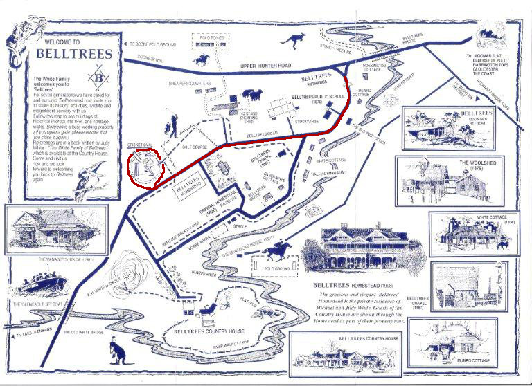 Belltrees Broadsheet: EVENT THIS WEEKEND - Pink Stumps Day Spectacular