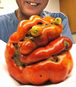 Vriksha Nursery: The mutant fruits of Fukushima.