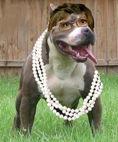 Cute Funny Animalz: Funny American Pitbull Nice Photos 2012