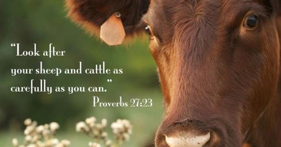 A Dixie Lady Deer Hunter: Proverbs 27:23