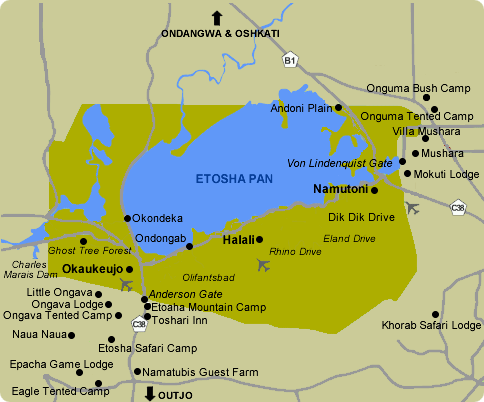 Etosha National Park: 5 motivos para ir! ~ Depois do medo, vem o mundo