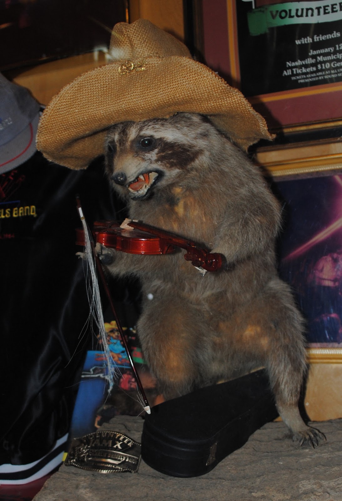 Raccoon toothpicks - safeshery