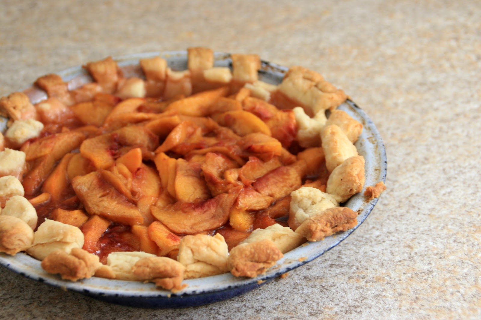 Cooking with Chopin, Living with Elmo: Ugly Pies