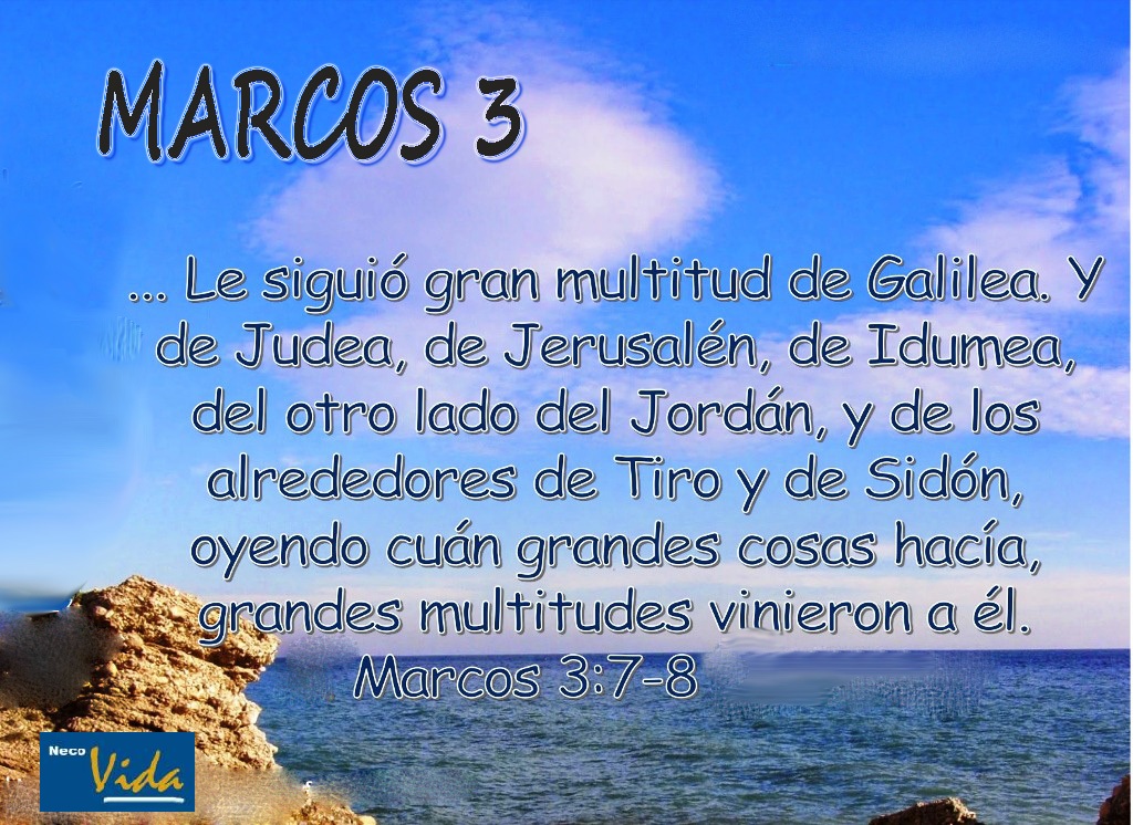 Neco Vida: Leyendo... Marcos capítulo 3