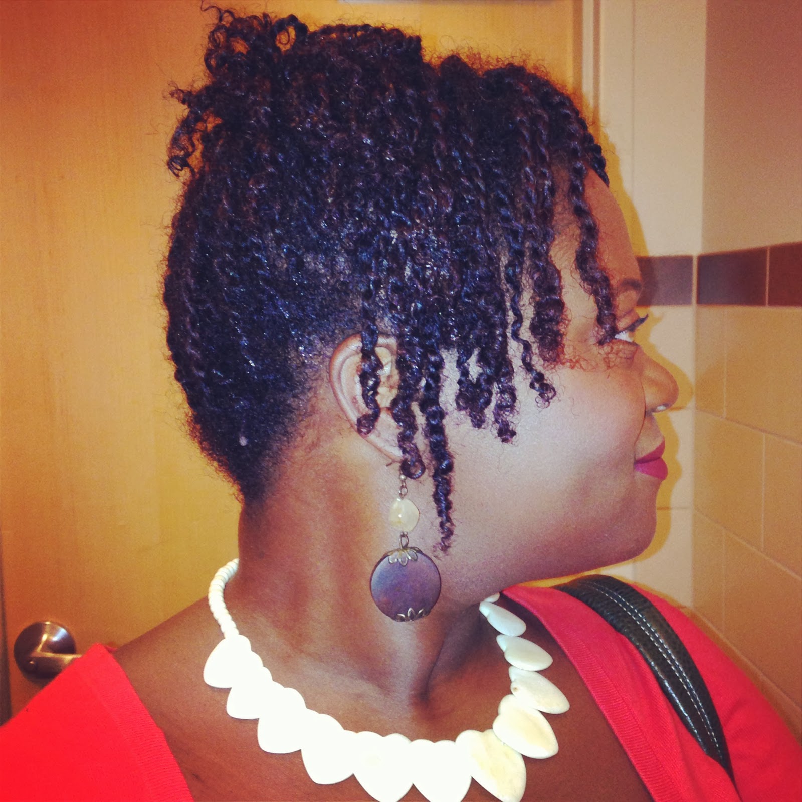 Natural Hair Freedom: Rocking my Two Strand Mini Twists