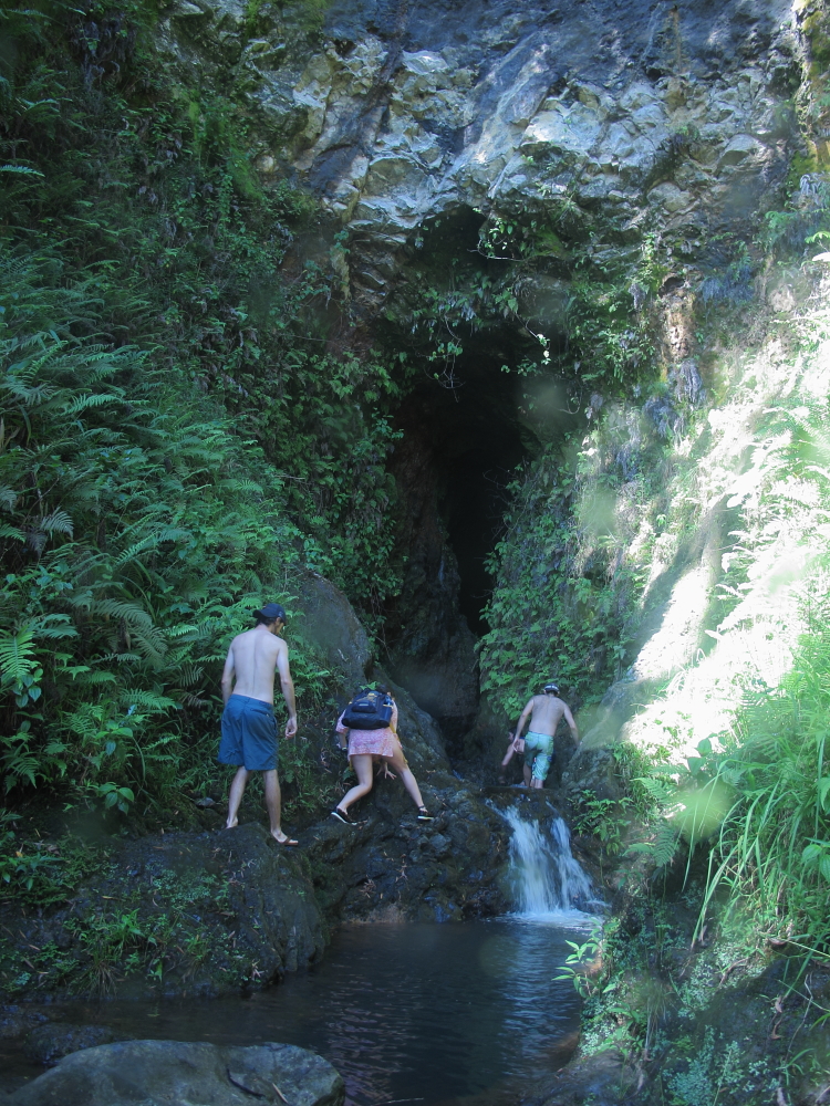 Capturing the Moment: Best Hikes on Maui: The Big Three Adventure Hikes