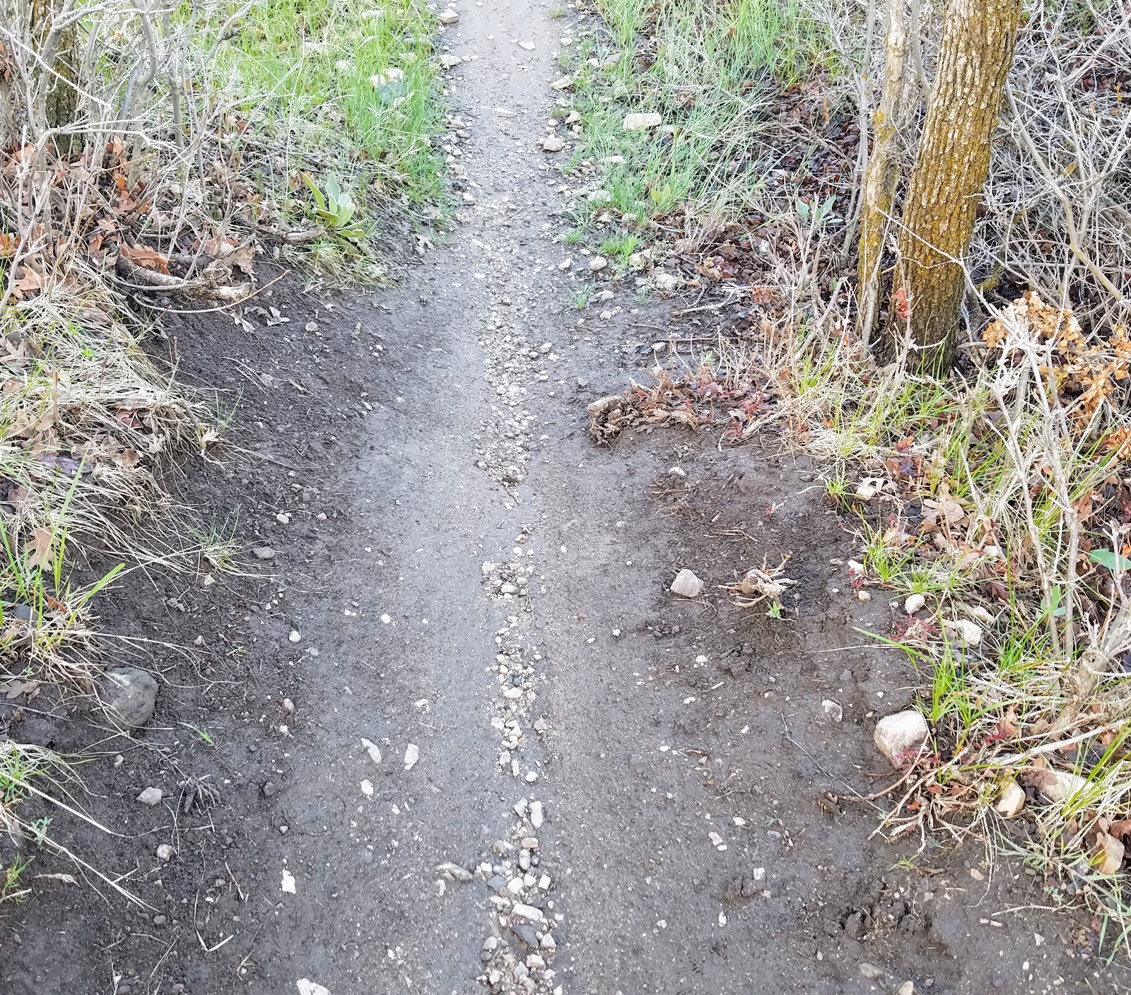 Whistling Prairie: Rocks, Roots and Ruts: Obstacles in Path
