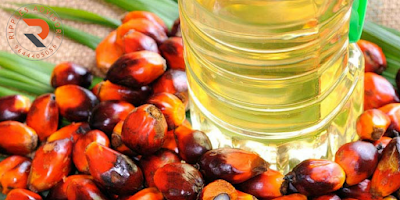 Crude Palm Oil (CPO) Trading Range For The Day Is 478-489.2 - Ripples ...