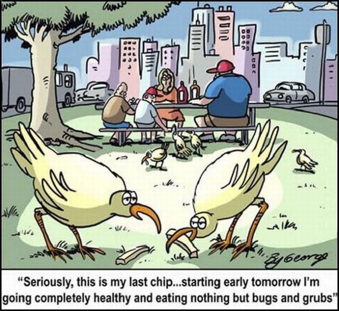 Nick's Bytes: Friday Graphic Funnies