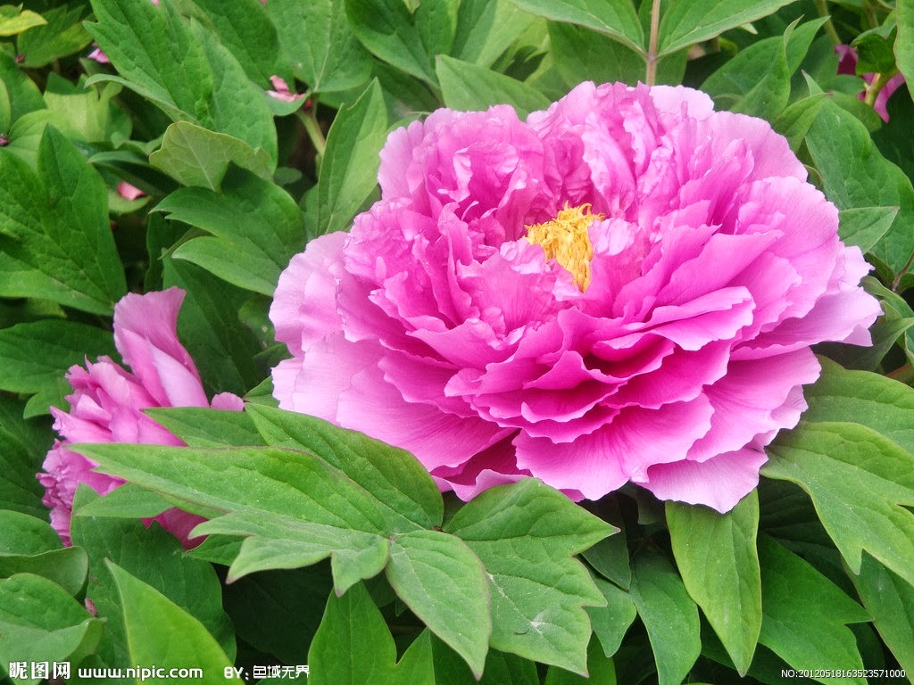 Chun Li 's Chinese culture blog