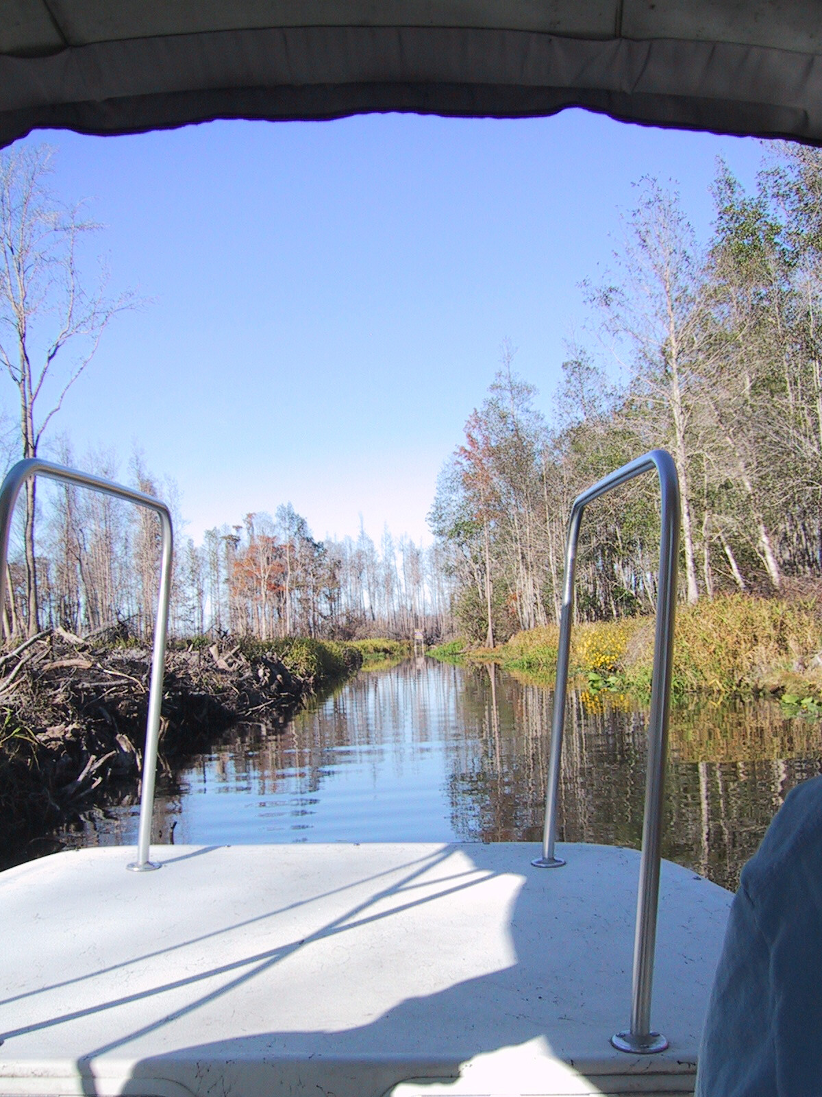 RVing Toadless: WORKAMPING WITHOUT A TOW CAR