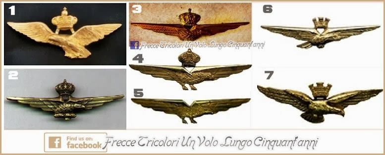 Frecce Tricolori Un Volo Lungo : L'AQUILA TURRITA