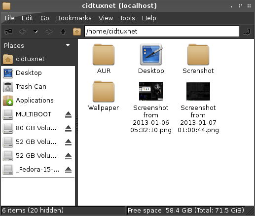 How to access & automounting internal disks & usb media (Linux, FAT32 ...