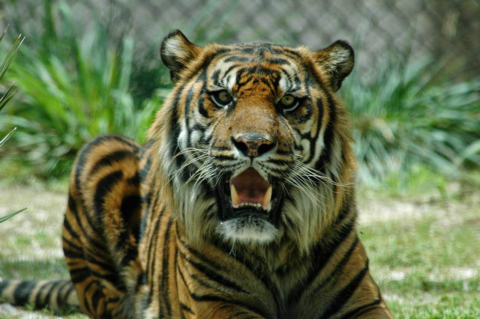 La Florida: On the Trout River - Jacksonville Zoo
