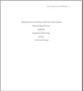 Biz(P) : Survival Guide: APA appendices