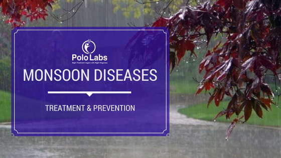 Explain Monsoon Diseases, Their Treatment & Prevention