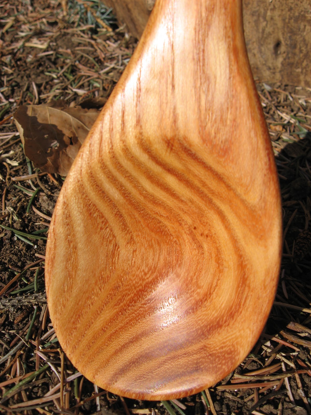 Survival in the Wasteland: Sumac and Honey Locust Spoons