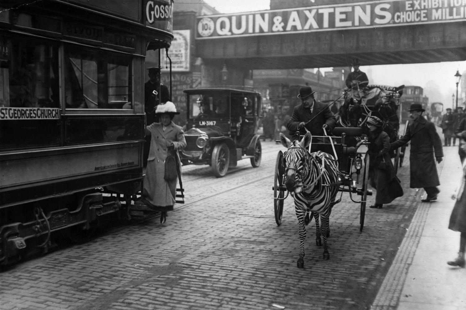 Colors for a Bygone Era: A Zebra-driven carriage on Brixton St. London ...