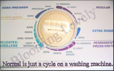 Blooming Lovely: Normal Is Just A Cycle On A Washing Machine (Part 1)